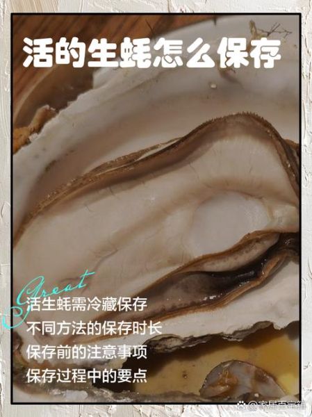 生蚝怎么保存时间长_生蚝怎么保存最新鲜-第2张图片-山城妙识 生蚝怎么保存时间长_生蚝怎么保存最新鲜-第2张图片-山城妙识
