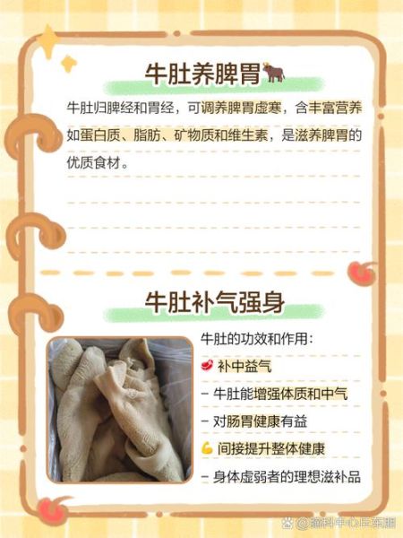 牛肚哪些人不能吃_牛肚禁忌人群有哪些-第2张图片-山城妙识