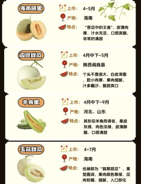 香瓜里面的瓤可以吃吗_香瓜瓤营养价值-第2张图片-山城妙识