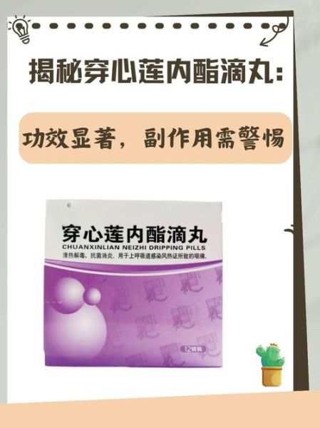 穿心莲内酯滴丸怎么吃_穿心莲内酯滴丸副作用-第2张图片-山城妙识