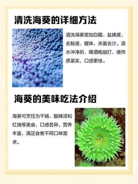 海葵能吃吗_海葵怎么处理才能吃-第1张图片-山城妙识