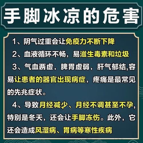 手脚冰凉吃什么药_手脚冰凉怎么调理-第1张图片-山城妙识 手脚冰凉吃什么药_手脚冰凉怎么调理-第1张图片-山城妙识
