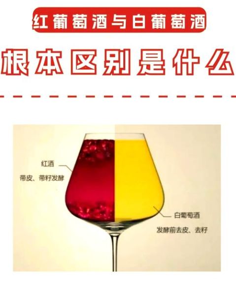 白葡萄酒贵还是红葡萄酒贵_价格差异原因-第1张图片-山城妙识 白葡萄酒贵还是红葡萄酒贵_价格差异原因-第1张图片-山城妙识