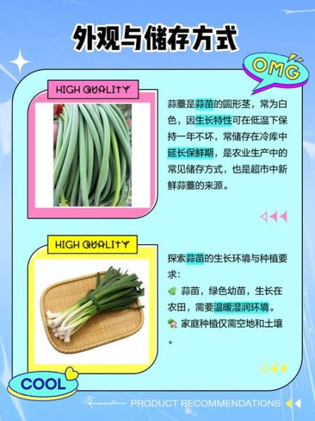 蒜苗和蒜苔的区别是什么_哪个更营养-第1张图片-山城妙识