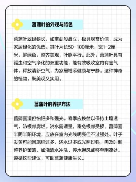 菖蒲长什么样_菖蒲叶子图片特征-第1张图片-山城妙识