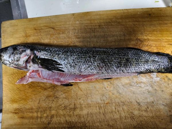 鱼片怎么腌制_水煮鱼片怎么做才嫩-第3张图片-山城妙识