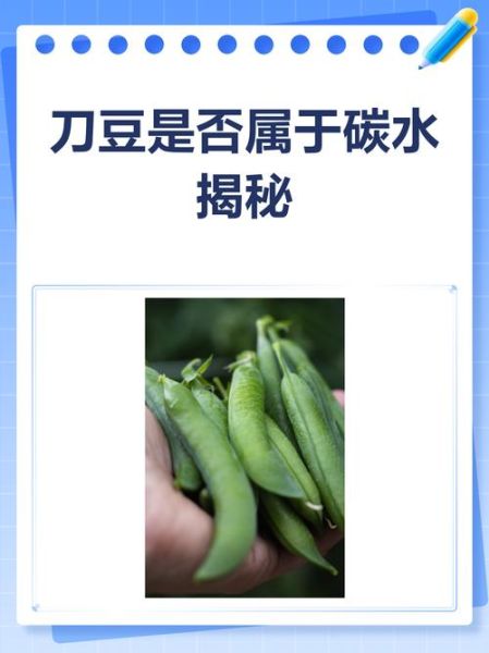 刀豆小说好看吗_刀豆小说结局是什么-第3张图片-山城妙识 刀豆小说好看吗_刀豆小说结局是什么-第3张图片-山城妙识