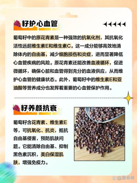 长期服用葡萄籽的危害_葡萄籽副作用有哪些-第1张图片-山城妙识