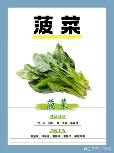 最伤肾的四种蔬菜_肾不好能吃菠菜吗-第1张图片-山城妙识