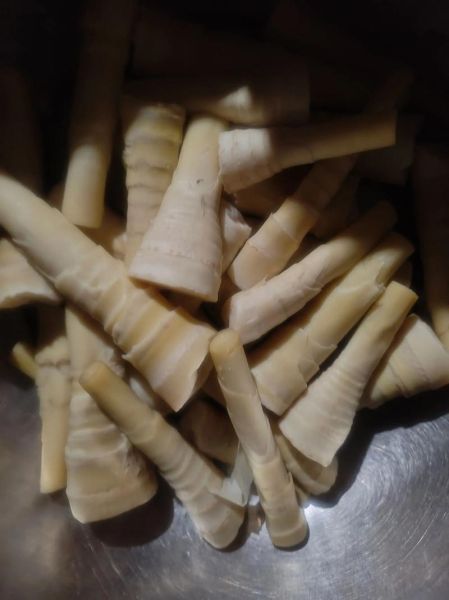 苦竹笋能吃吗_苦竹笋怎么做好吃-第2张图片-山城妙识