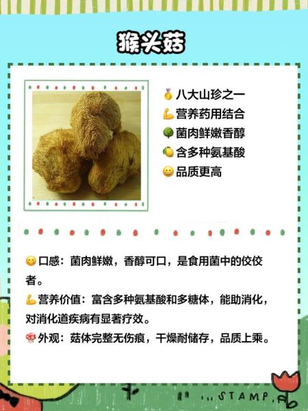 蘑菇怎么种植_蘑菇有哪些品种-第2张图片-山城妙识 蘑菇怎么种植_蘑菇有哪些品种-第2张图片-山城妙识