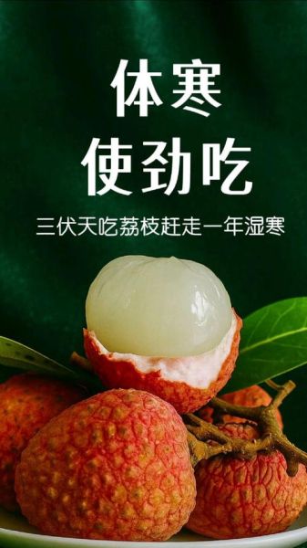 荔枝一天吃多少个合适_吃多了会上火吗-第3张图片-山城妙识
