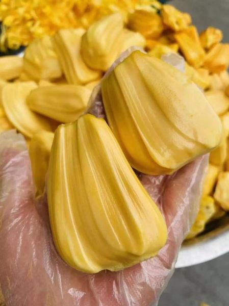 菠萝蜜图片大全高清_菠萝蜜怎么挑选图解-第3张图片-山城妙识