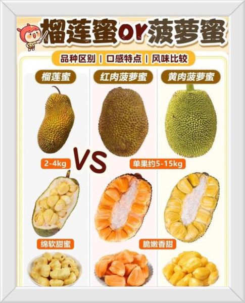 菠萝蜜图片大全高清_菠萝蜜怎么挑选图解-第1张图片-山城妙识
