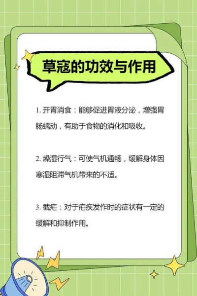 草寇的功效与作用及食用方法_草寇怎么吃不上火-第3张图片-山城妙识