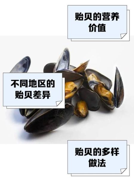 贻贝的功效与作用_怎么吃最营养-第3张图片-山城妙识