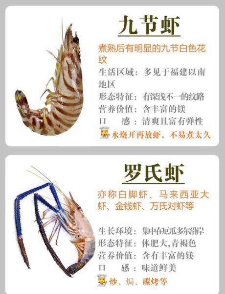 虾和什么搭配最营养_虾的最佳营养搭档-第3张图片-山城妙识