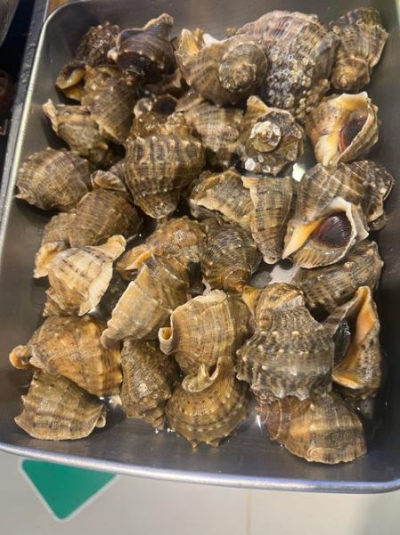 黄花鱼是海鲜吗_黄花鱼属于海鱼还是淡水鱼-第1张图片-山城妙识