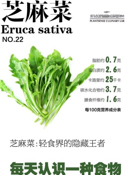 芝麻菜的营养价值_芝麻菜怎么吃最健康-第3张图片-山城妙识