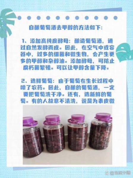 自酿葡萄酒最简单方法_需要哪些材料-第3张图片-山城妙识