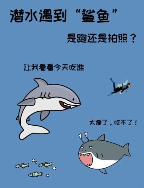 鲨鱼真的会吃人吗_如何避免鲨鱼袭击-第1张图片-山城妙识