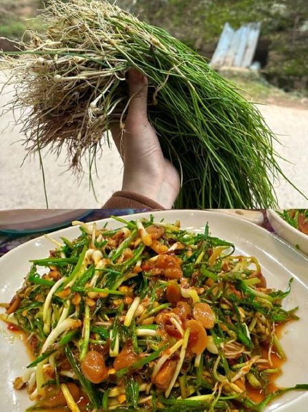 野葱怎么做好吃_野葱的家常做法大全-第1张图片-山城妙识 野葱怎么做好吃_野葱的家常做法大全-第1张图片-山城妙识