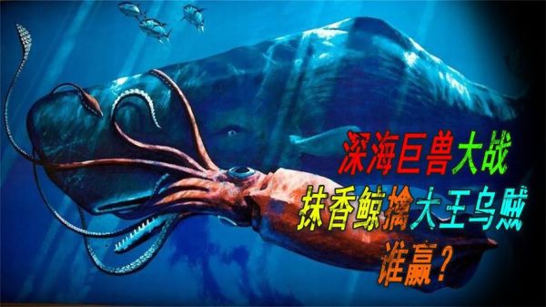 大王鱿鱼vs抹香鲸_谁才是真正的深海霸主-第2张图片-山城妙识