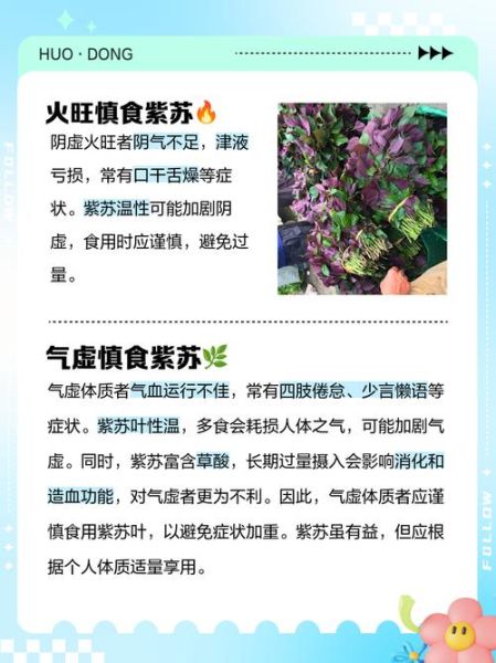 紫苏哪些人不能吃_紫苏禁忌人群-第1张图片-山城妙识