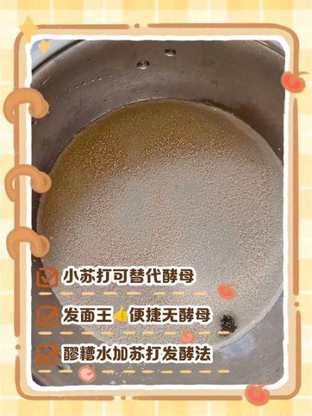 没有酵母怎么发面_不用酵母的替代方法-第2张图片-山城妙识