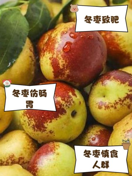 冬枣不能和什么一起吃_冬枣相克食物有哪些-第3张图片-山城妙识