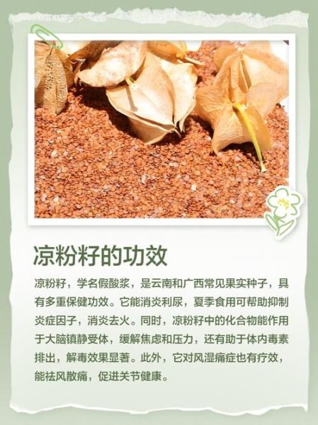 凉粉籽怎么做凉粉_凉粉籽和水的比例是多少-第3张图片-山城妙识