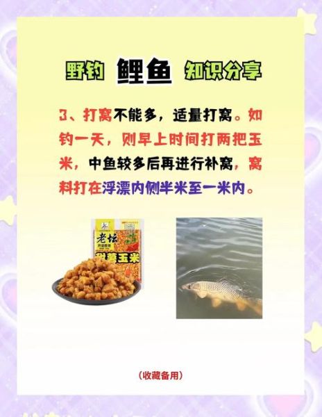 钓鲤鱼用什么饵料最好_绝杀饵配方揭秘-第1张图片-山城妙识