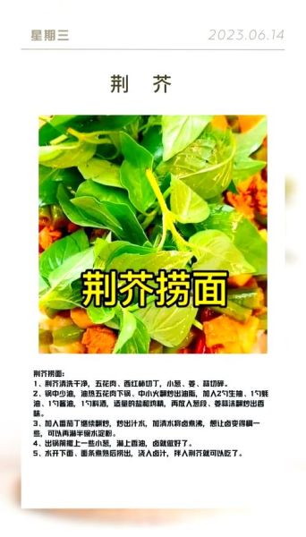 炒荆芥和荆芥的区别_炒荆芥的功效与作用-第1张图片-山城妙识