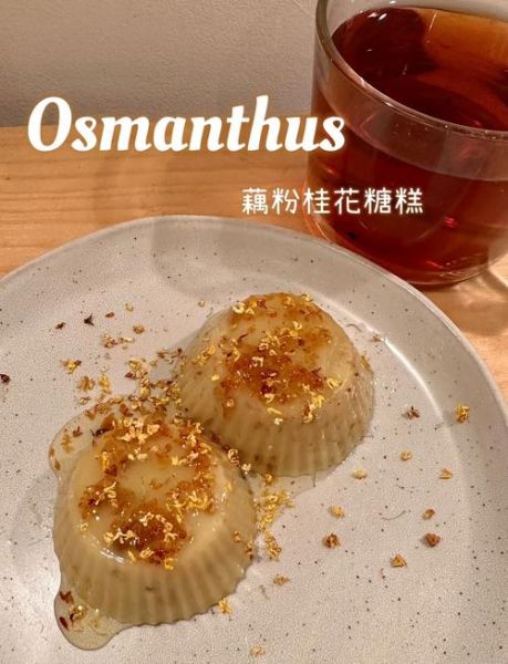 藕粉桂花糖糕的做法_藕粉桂花糖糕怎么保存-第2张图片-山城妙识 藕粉桂花糖糕的做法_藕粉桂花糖糕怎么保存-第2张图片-山城妙识