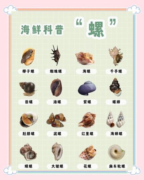 香螺哪些部位不能吃_香螺内脏怎么区分-第3张图片-山城妙识 香螺哪些部位不能吃_香螺内脏怎么区分-第3张图片-山城妙识