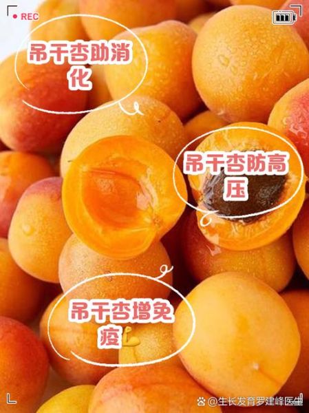 杏干孕妇可以吃吗_孕妇吃杏干对胎儿好吗-第1张图片-山城妙识