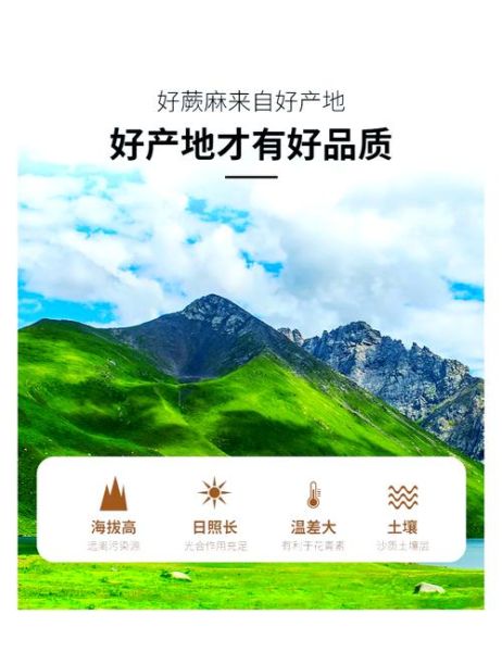 蕨麻多少钱一斤_蕨麻价格行情-第1张图片-山城妙识 蕨麻多少钱一斤_蕨麻价格行情-第1张图片-山城妙识