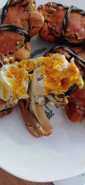 江苏大闸蟹多少钱一斤_正宗阳澄湖价格-第1张图片-山城妙识