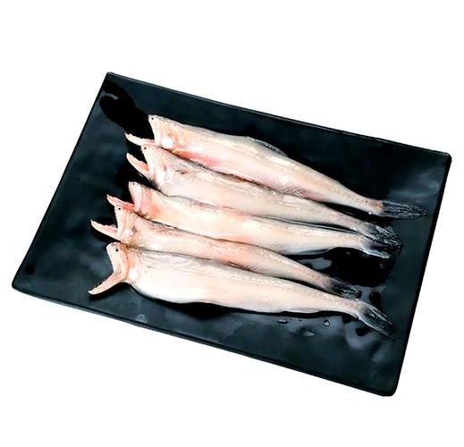 龙头鱼是什么鱼_龙头鱼多少钱一斤-第2张图片-山城妙识