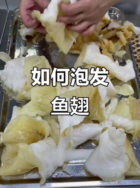 冰冻鱼翅怎么泡发_冰冻鱼翅的家常做法-第1张图片-山城妙识