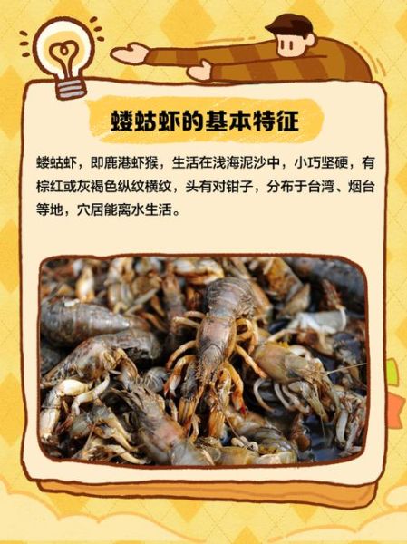 虾蛄怎么念_虾蛄的正确读音是什么-第3张图片-山城妙识