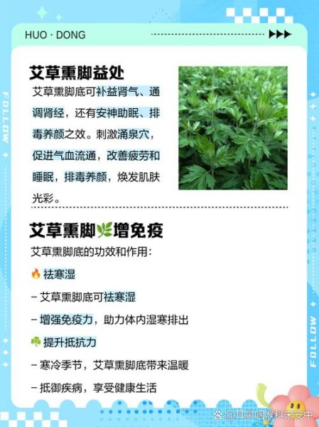 熏艾草的功效与作用禁忌_孕妇能用艾草熏房间吗-第2张图片-山城妙识