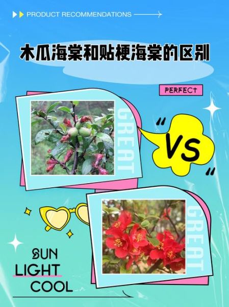 海棠木瓜树图片_如何辨别真假-第1张图片-山城妙识 海棠木瓜树图片_如何辨别真假-第1张图片-山城妙识