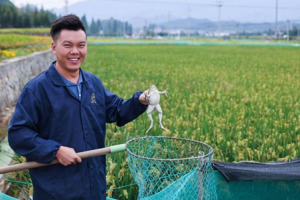 牛蛙养殖一亩可养多少_牛蛙养殖密度怎么算-第3张图片-山城妙识