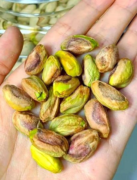 开心果是银杏树的果实吗_开心果和银杏果的区别-第2张图片-山城妙识 开心果是银杏树的果实吗_开心果和银杏果的区别-第2张图片-山城妙识