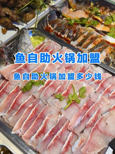 鱼火锅加盟哪家好_鱼火锅加盟费多少钱-第2张图片-山城妙识 鱼火锅加盟哪家好_鱼火锅加盟费多少钱-第2张图片-山城妙识