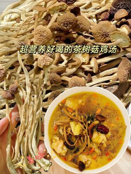 茶树菇鸡汤怎么炖好喝_茶树菇鸡汤的家常做法-第1张图片-山城妙识