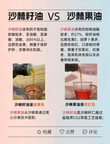 沙棘果油的功效与作用_沙棘果油怎么吃最好-第1张图片-山城妙识