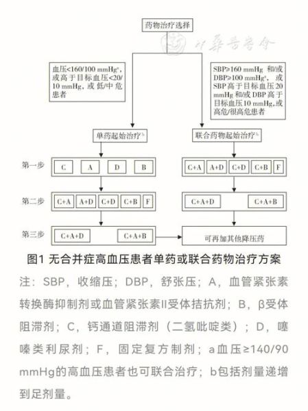 高血压吃什么药最好_高血压最佳用药方案-第1张图片-山城妙识