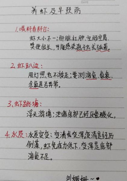 对虾怎么养才能多活三天_对虾暂养不死技巧-第1张图片-山城妙识